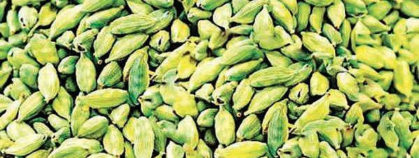 Cardamom prices vault to Rs 6,000 per kg