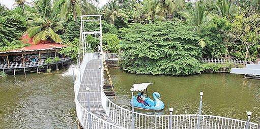 Mango Meadows: World's largest agricultural theme park in Kottayam