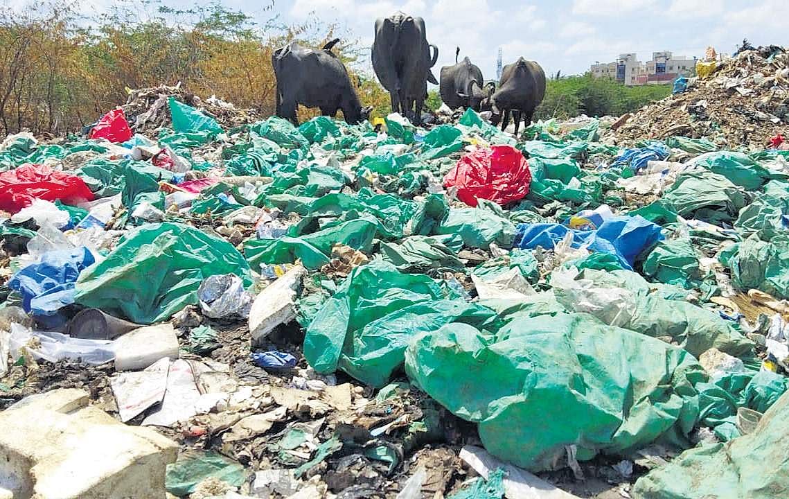 River clean-up projects yet to take off: Activists