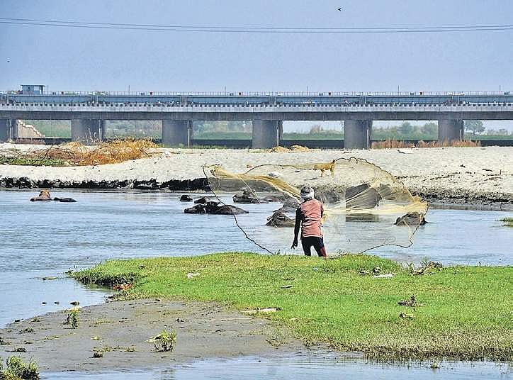 Yamuna floodplain water conservation project approved