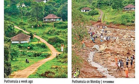 Felling of trees, cardamom farming caused landslide in Puthumala