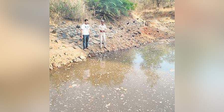 Bio park planned in Turahalli forest, greens sore