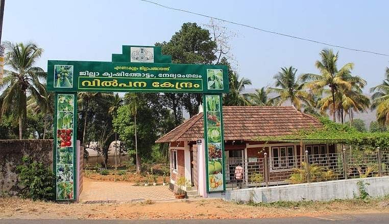 Seed farm in Kerala's Neriamangalam rebuilt from ruins post 2018 floods