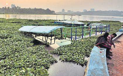 Rejuvenation of Akkulam lake in Thiruvananthapuram to begin soon