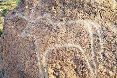 4000-year-old neolithic petroglyph found in Silanaiyakkanur forest