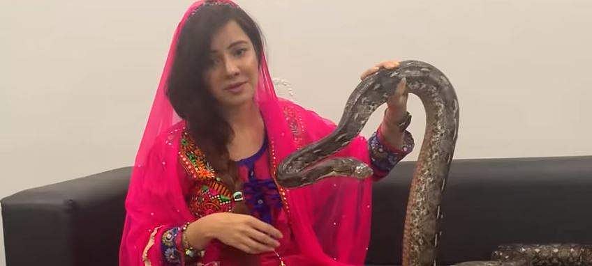 WATCH | Pakistan singer threatens PM Modi over Kashmir with reptiles ...