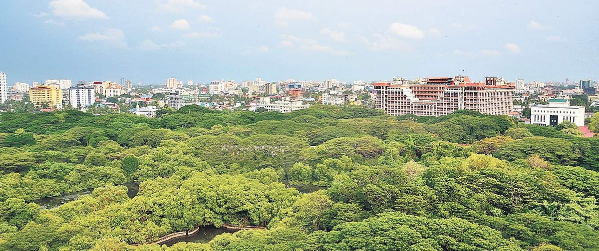 ‘Cities4Forests’ project to conserve green patches
