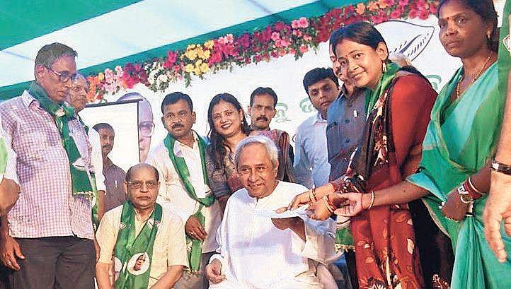 BJD focus on frontal wings revamp