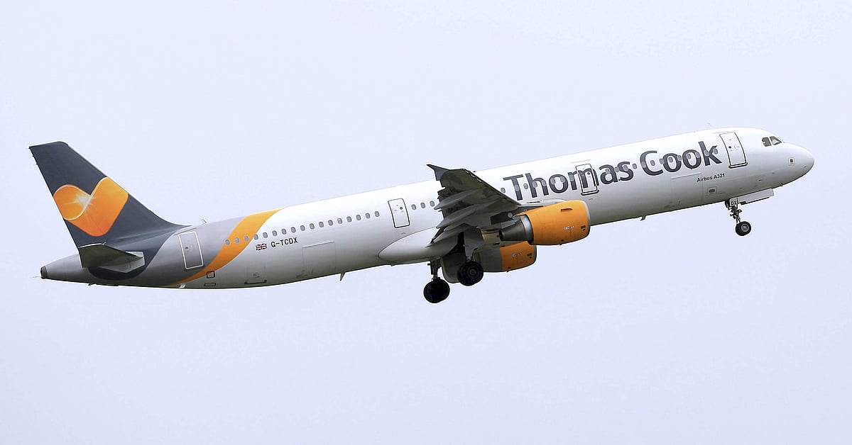 Resumption of domestic flights to spur tourism: Thomas Cook India