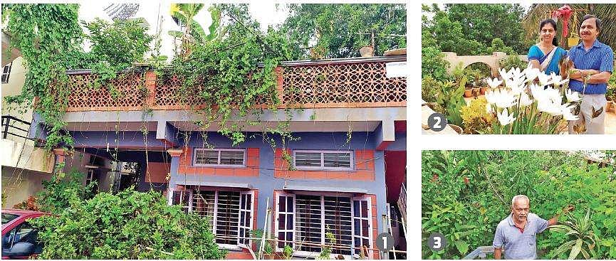 The ‘greenhouses’ of Shivamogga built with self-study and care