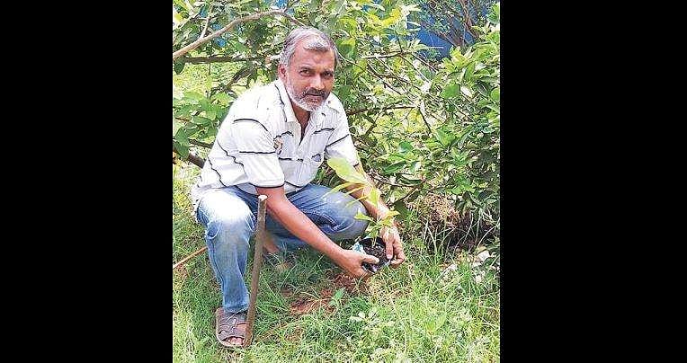 Green crusader Satya Narayan Dash of Puri on mission in Odisha