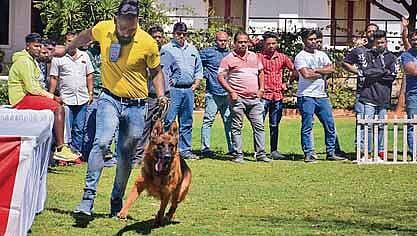 CRPF dogs steal the show at Canine Club
