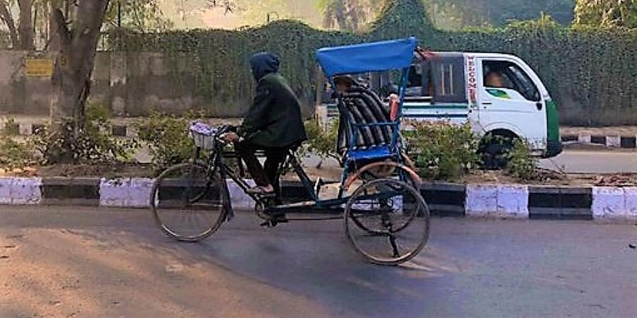 Dog's joyride on rickshaw amuses Twitterati