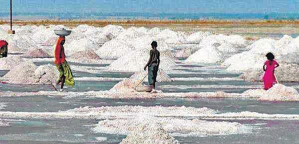 Salt production comes to standstill in Ganjam