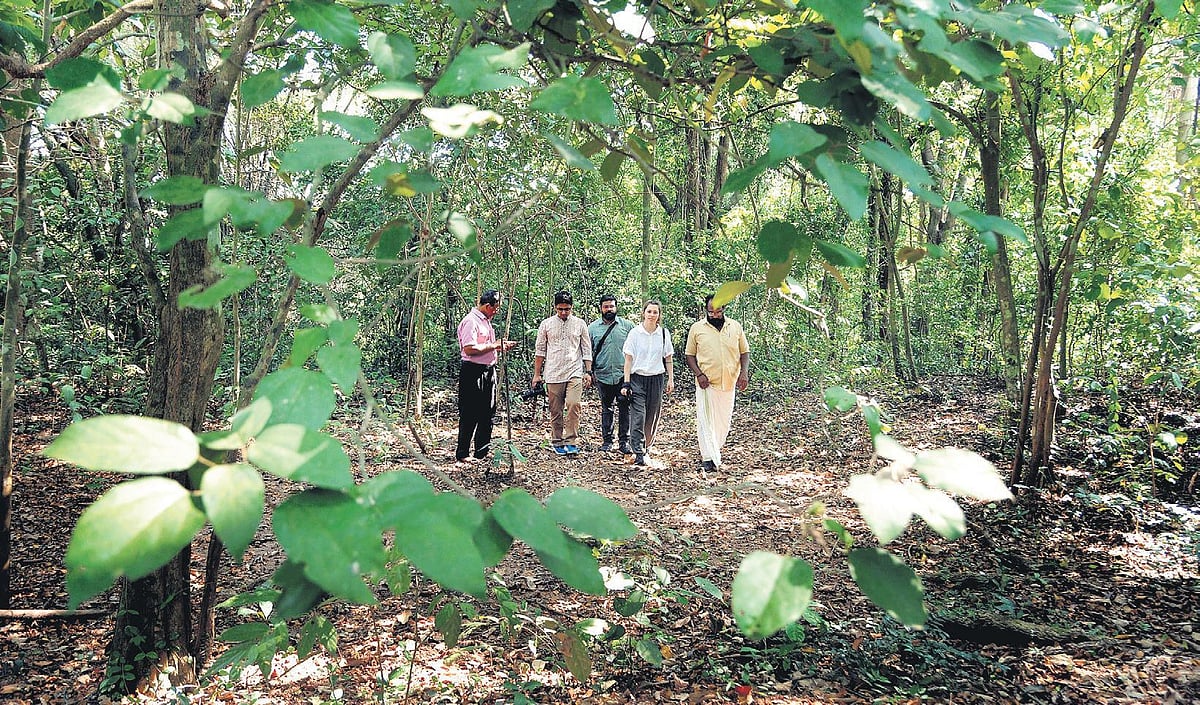 Call to turn forest on HMT land at Kalamassery into biodiversity park