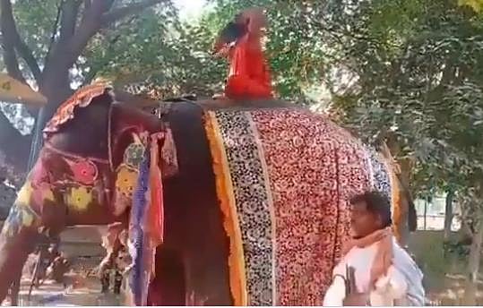 WATCH | Baba Ramdev falls off elephant while performing yoga, suffers ...