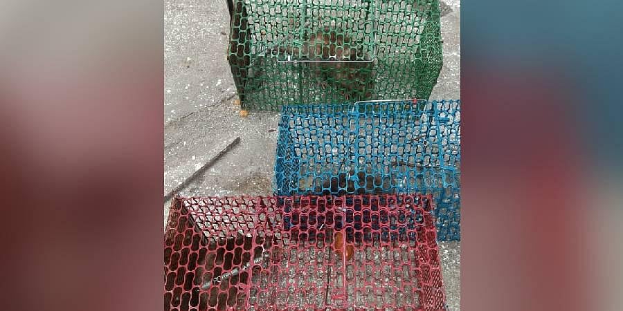 Kin of ICU patients at Salem GH smell a rat! Videos of rodents running ...