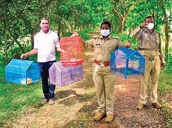 Parrot trade concern in Jagatsinghpur