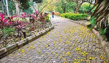 Joggers’ parks, ponds in panchayats soon, more projects for MG-NREGA