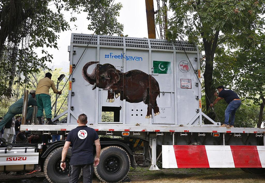 'World's loneliest elephant' Kaavan set to land in Cambodia from Pakistan