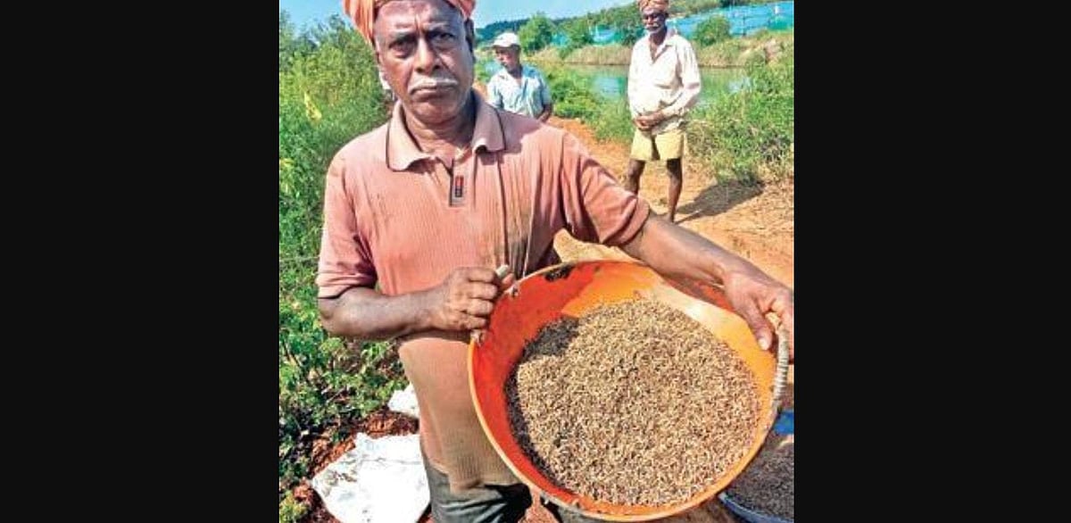 Gajani Kagga needs to be saved, with a GI tag