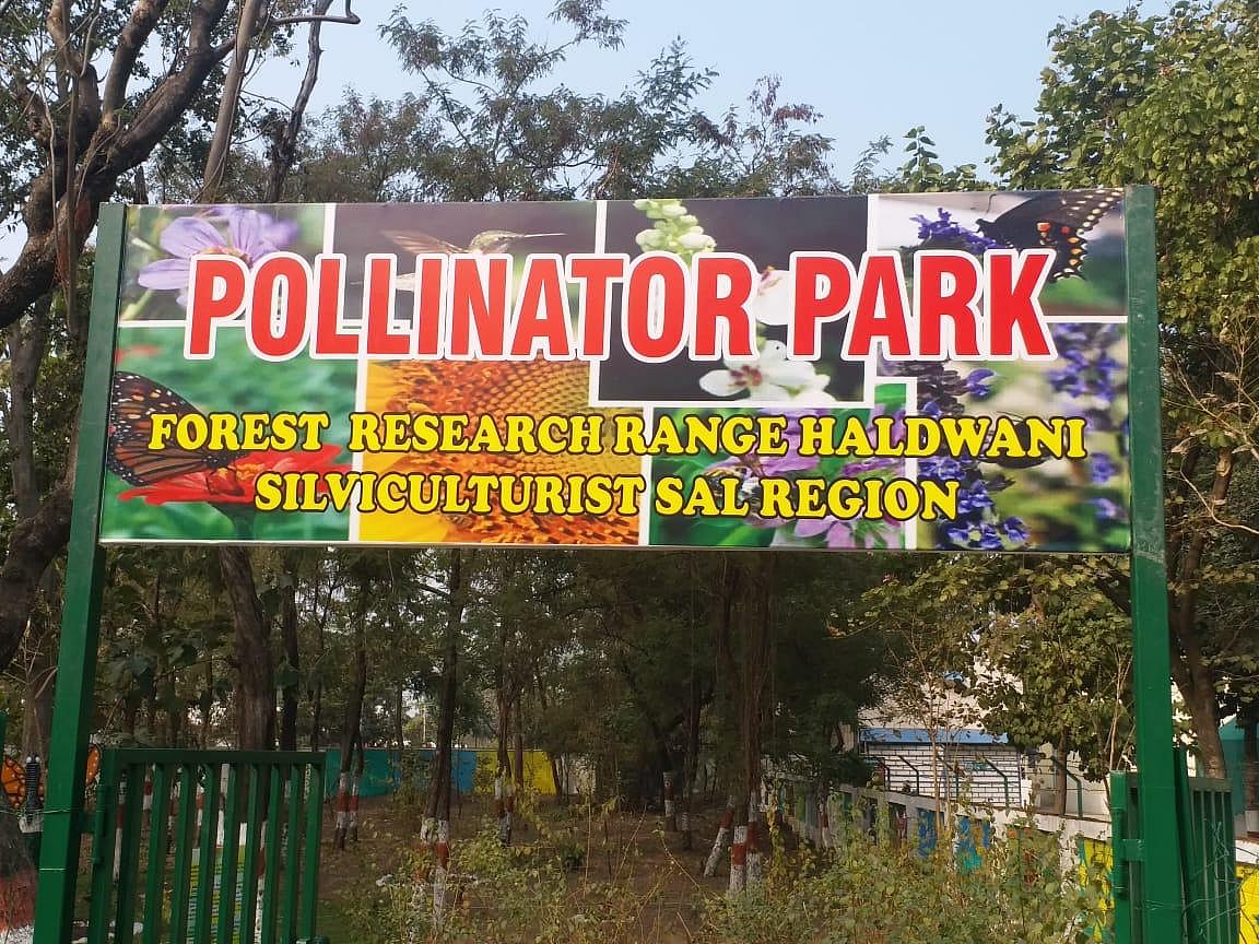 India's first pollinator park opens in Uttarakhand, will support over ...