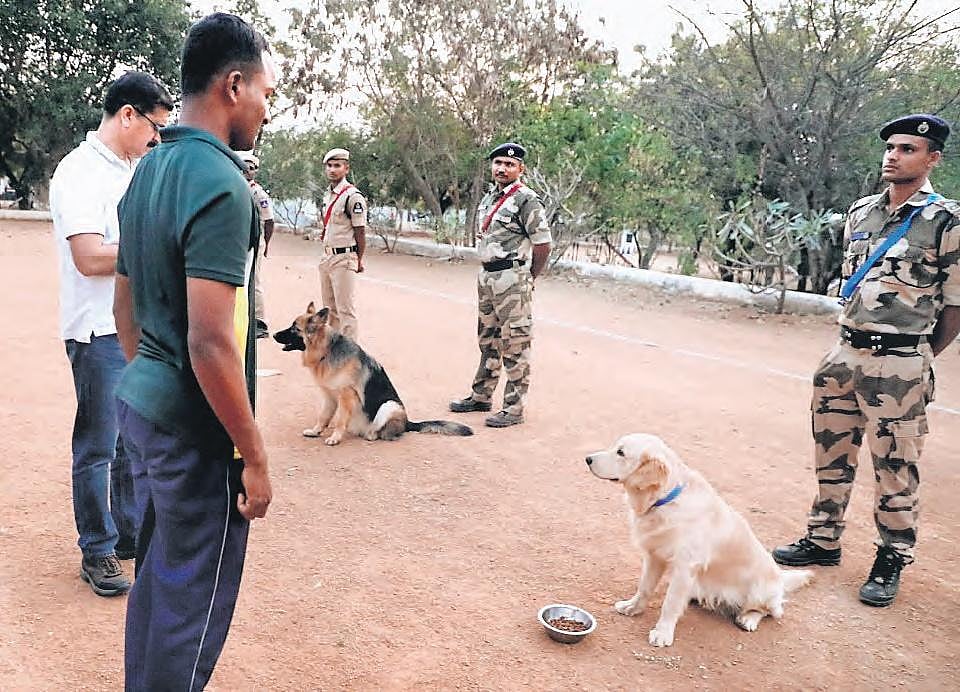 37 sniffer dogs complete training, to participate in passing out parade