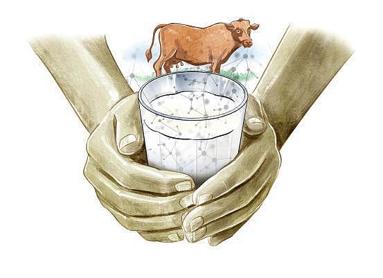 Milk shortage hits district
