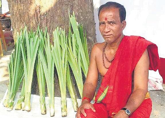 Ketaki flower price soars