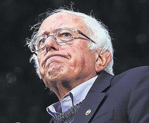 Down the rabbit hole with crazy Bernie