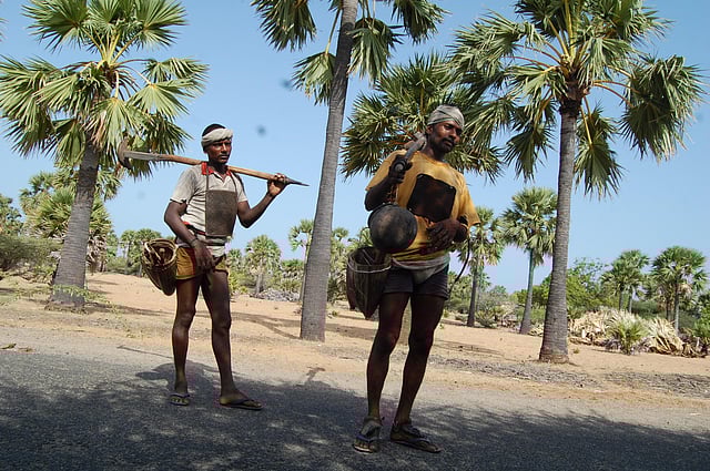 Dumbriguda tribals who consumed illicit toddy now stable