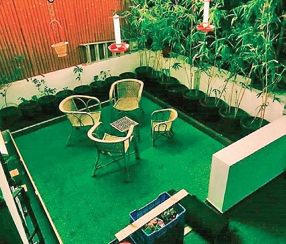 Spreading greenery for the better