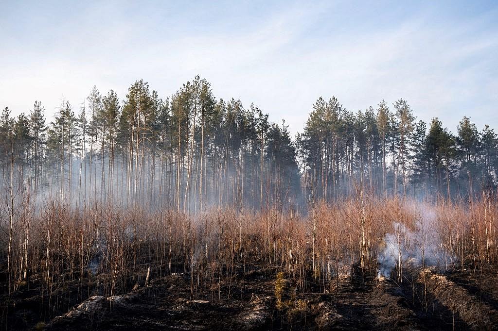 Smoke from wildfires near Chernobyl nuclear power plant engulfs Ukraine ...