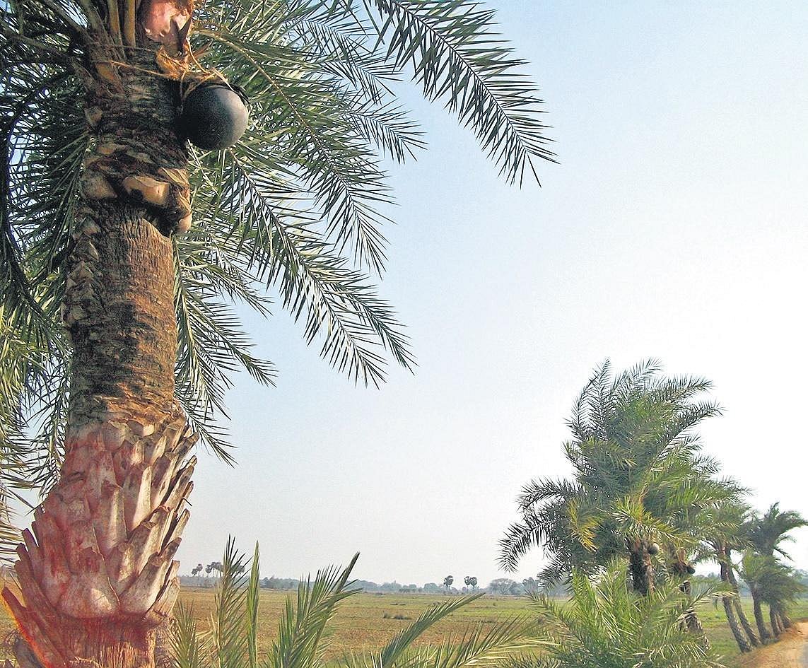 Tadi takes on the mantle of King of Good Times