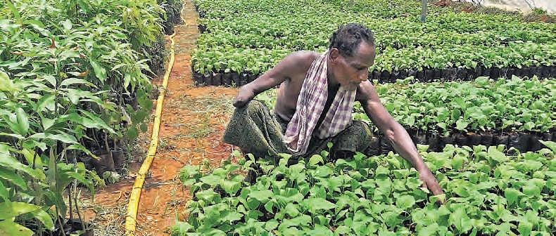 Covid duties aside, Ranga Reddy Collector comes to the rescue of ...