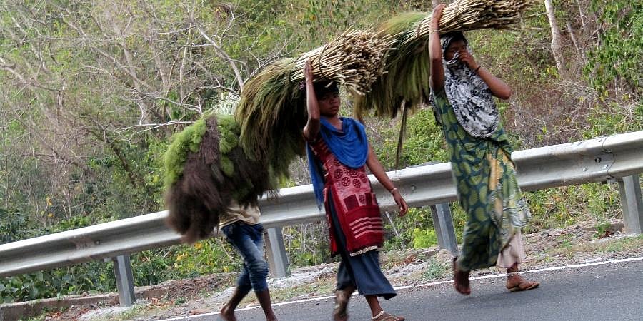 ‘Need to conserve heritage and practices of tribals’