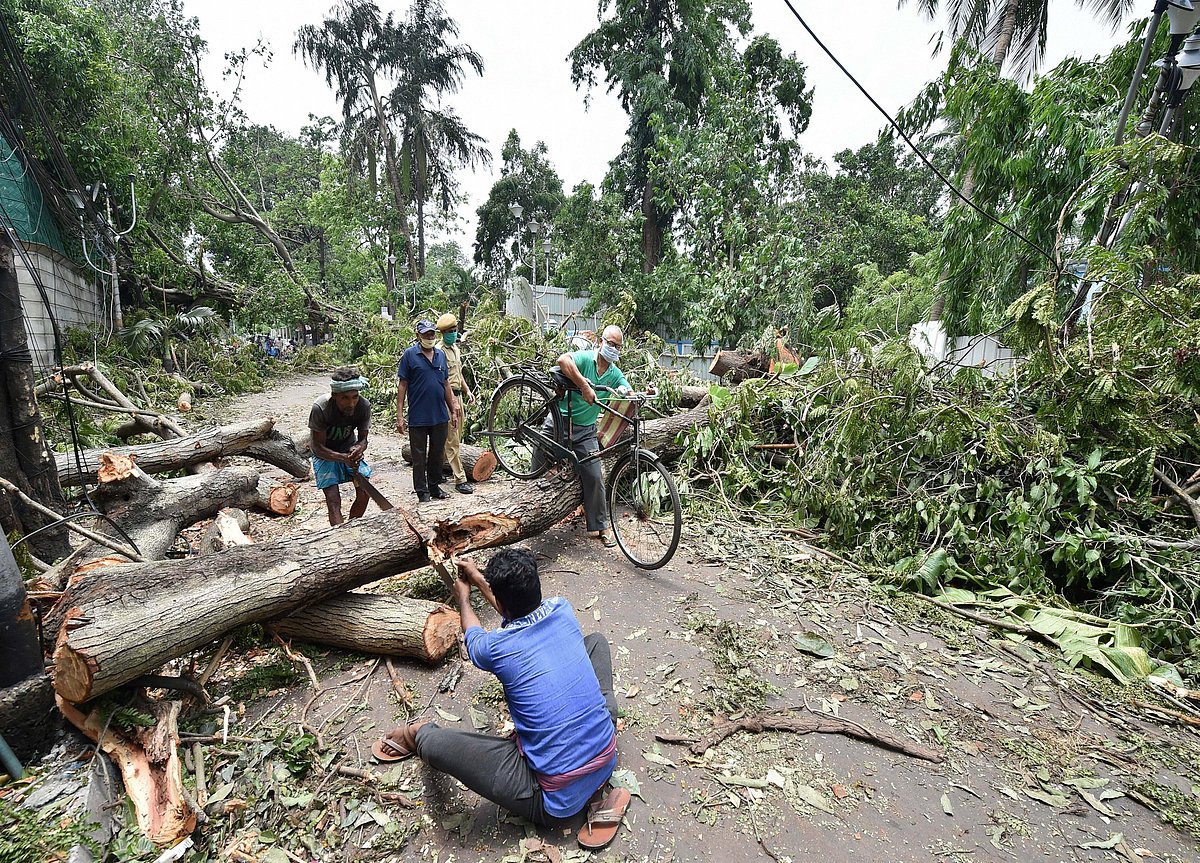 Cyclone 'Amphan' aftermath: Power supply restored in affected districts