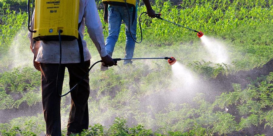 23 farm workers fall ill after drinking pesticide-laced water in ...