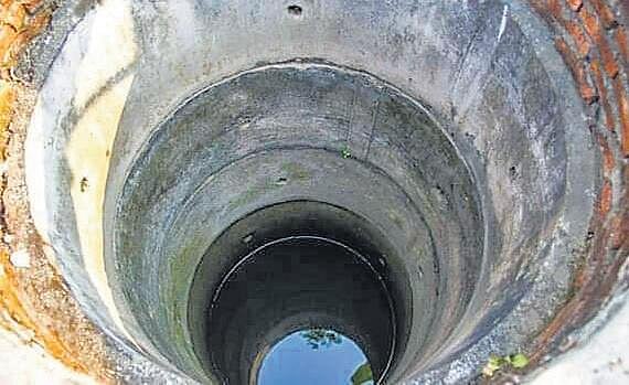 80-year-old Chennai man falls into well while rescuing cat, dogs ‘save’ him