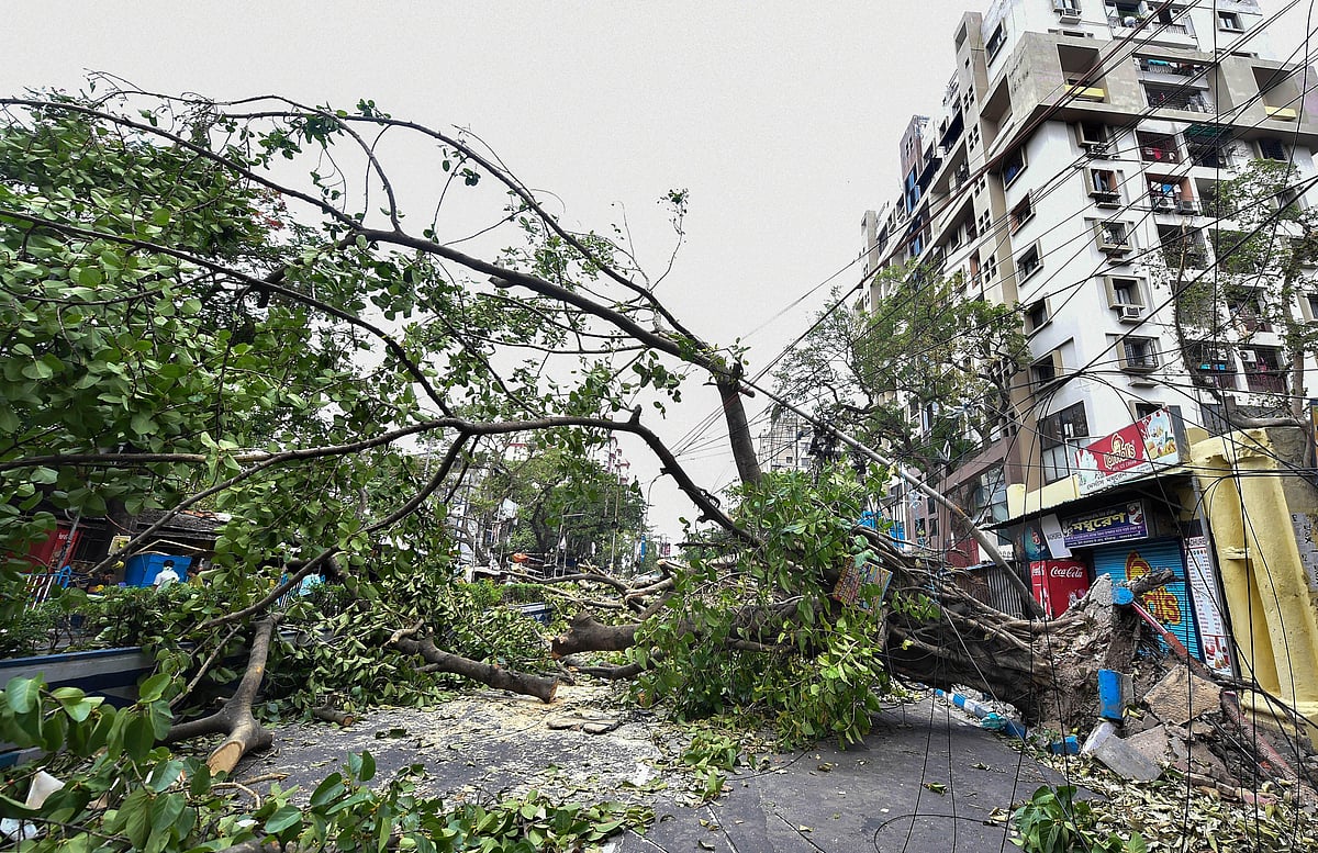 Will release impact-based cyclone warnings this season: IMD