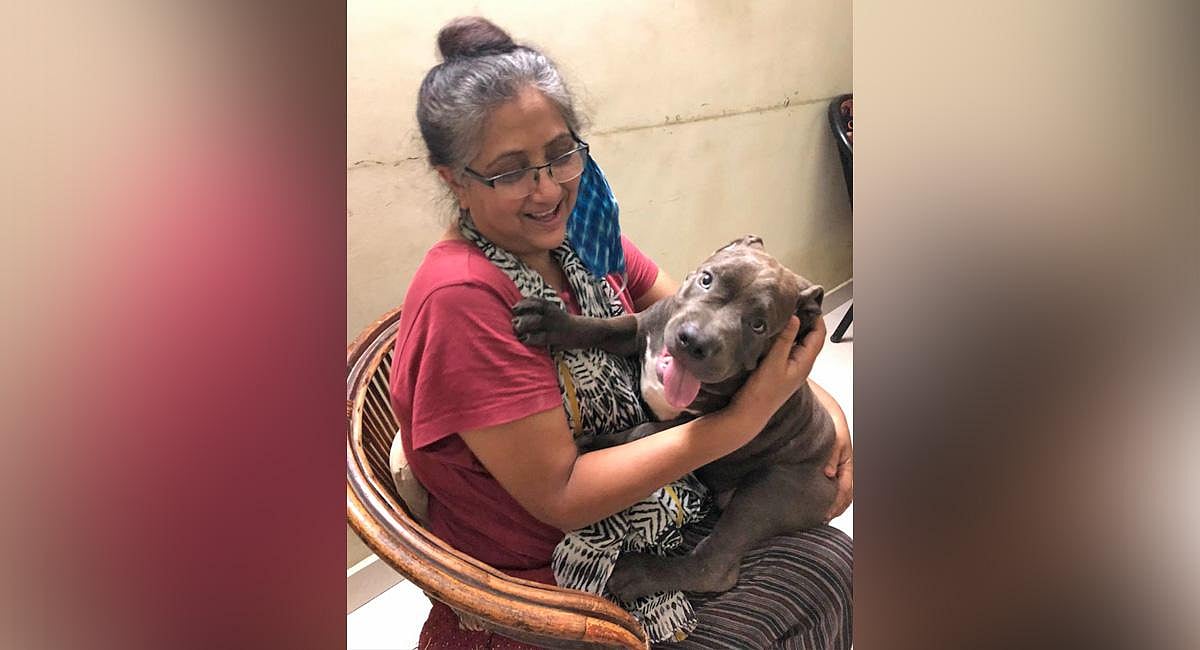 Friends of the lonely canines