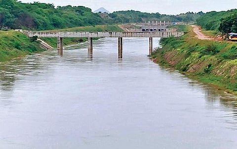 Farmers rejoice as water fills Telangana's Sri Ram Sagar Project canal