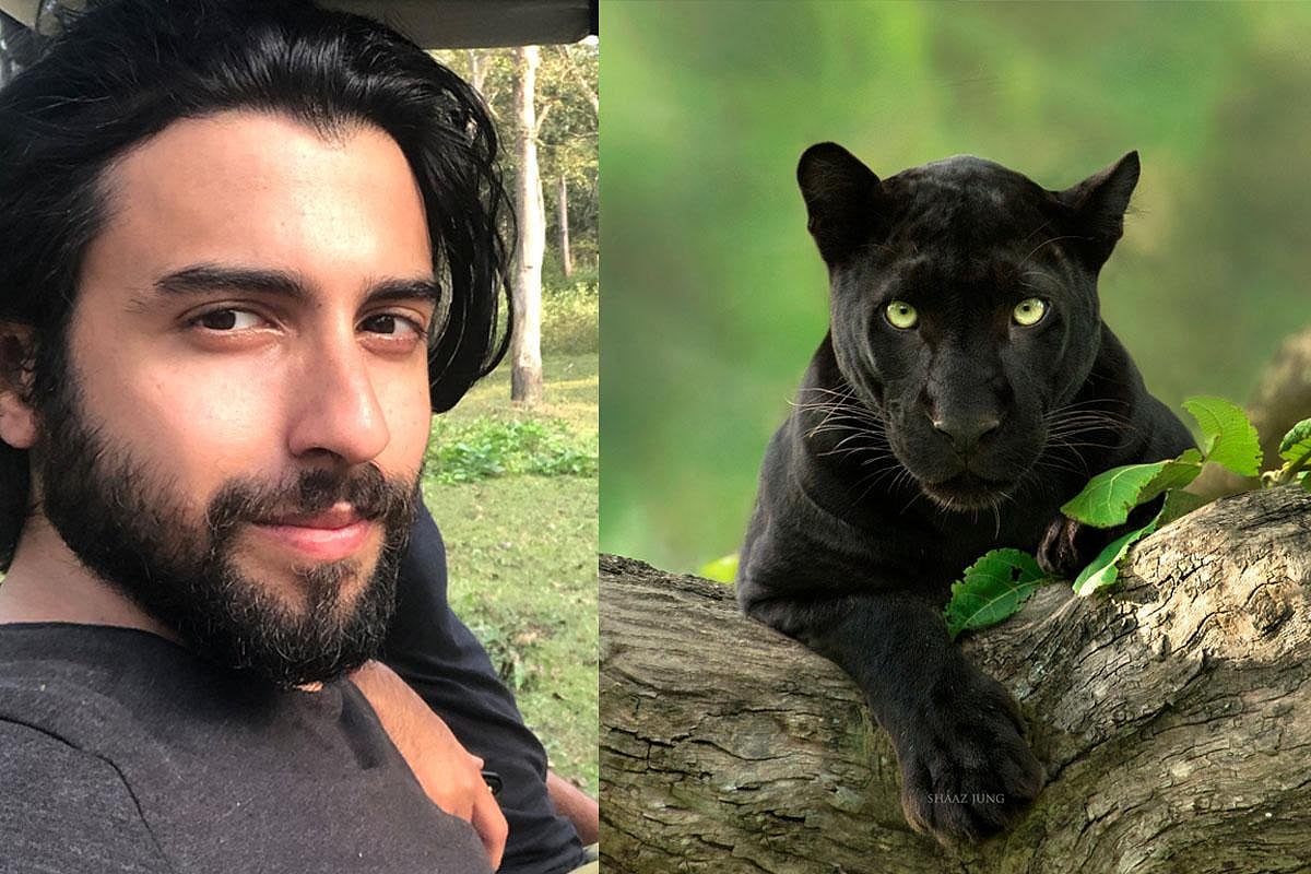 Meet Saya, the real life Bagheera captured by wildlife photographer ...