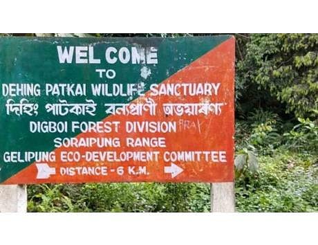 Assam’s Dehing Patkai Wildlife Sanctuary to get national park status