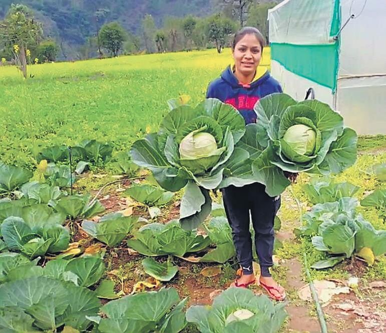 Girl who ploughed her own furrow: 25-yr-old U'khand woman runs farm ...