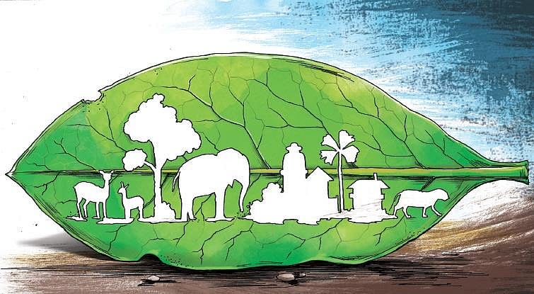 Not safe for animals