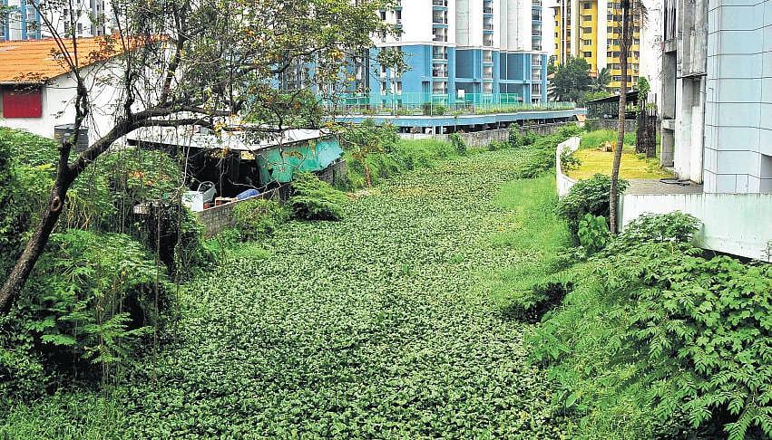 Edappally Canal: Road to redemption