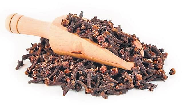 Cloves from Kanniyakumari’s hills receive GI tag
