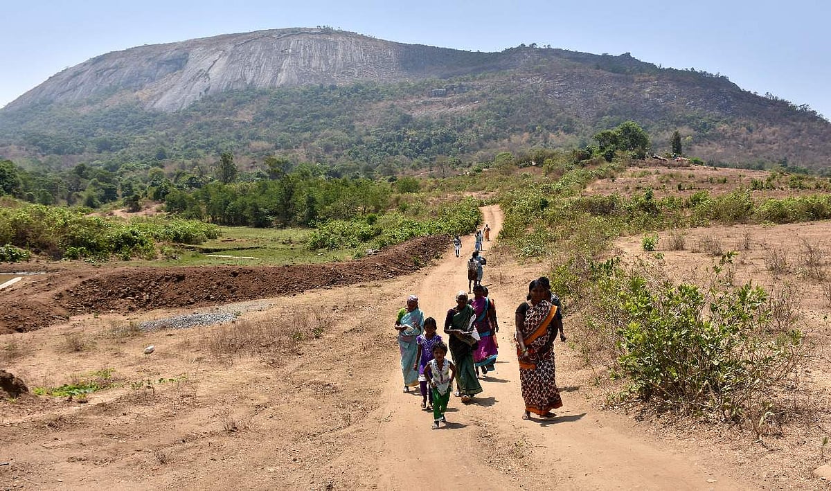 Plea to govt to list Kadar tribe as vulnerable group