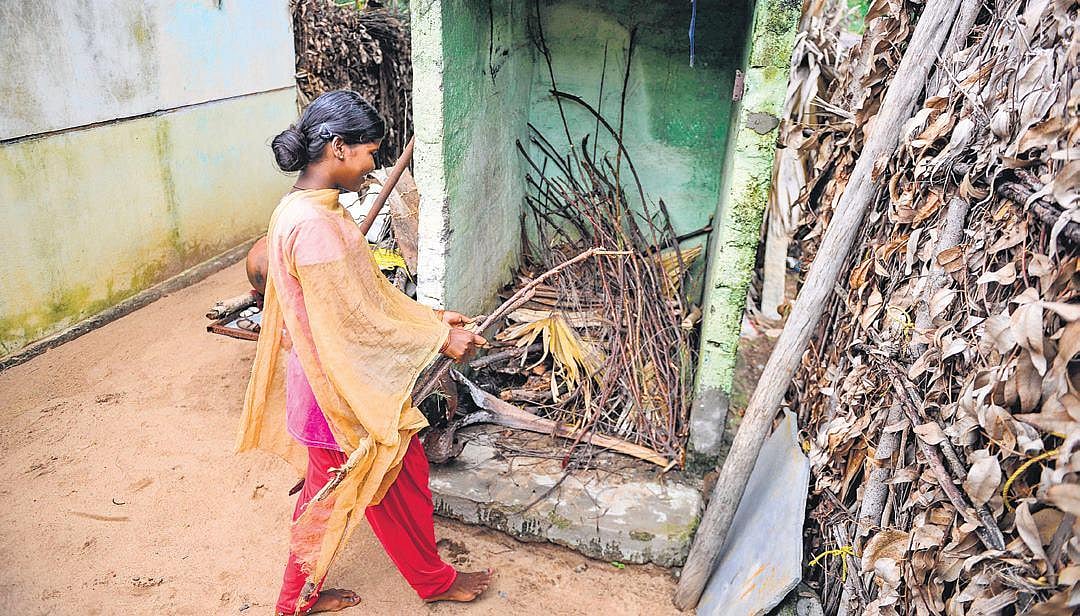 50 Irular families in TN stranded and hungry